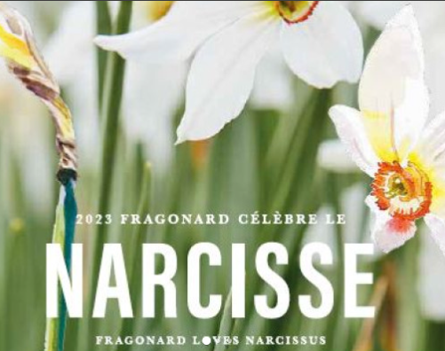 Reasons to visit Nice in February - Château de Bellet